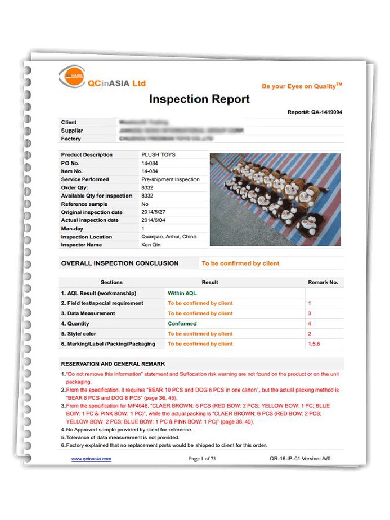 Sample AQL Report | PDF