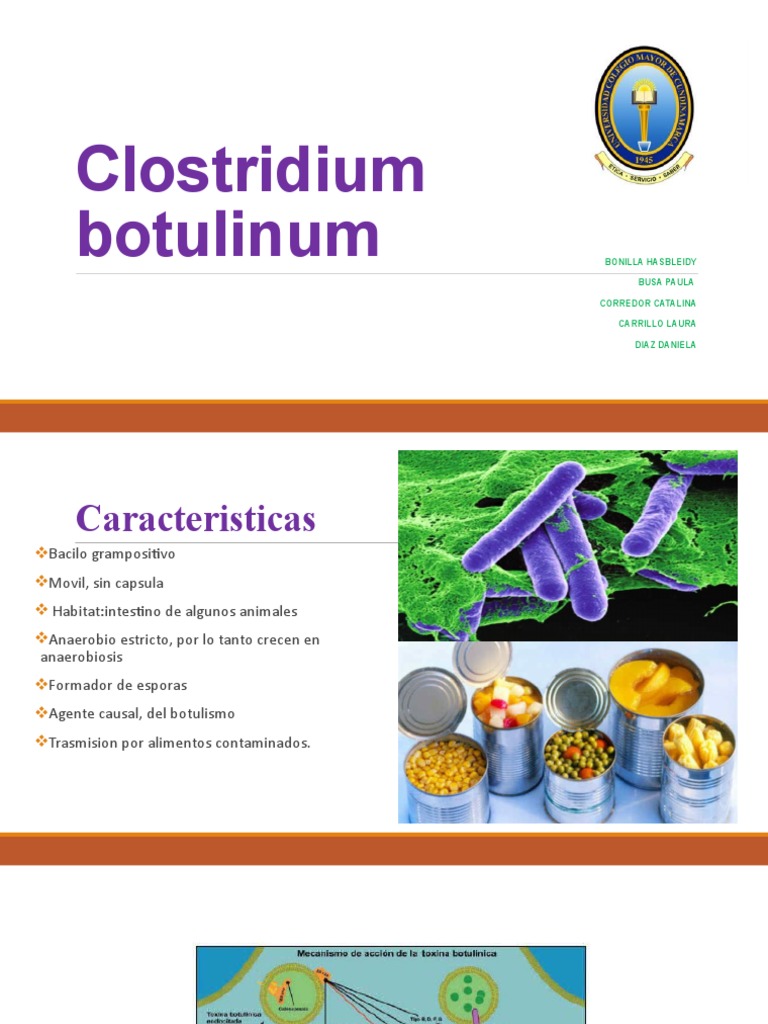 Clostridium Botulinum | PDF