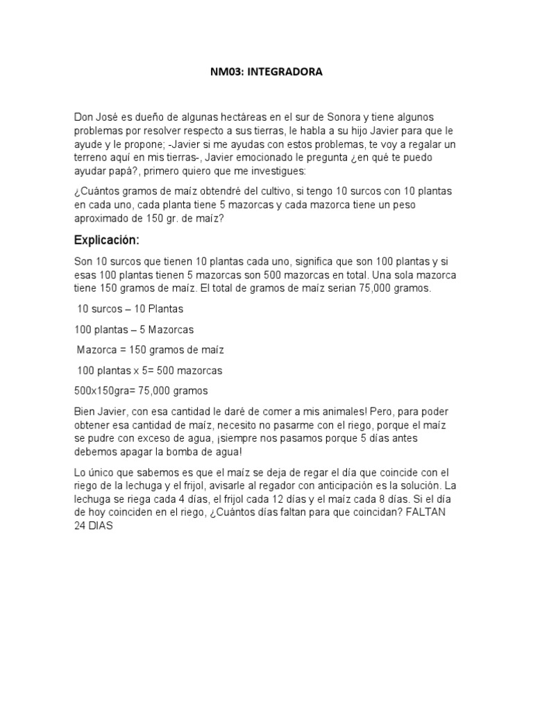 NM03 Integradora Matematicas | PDF