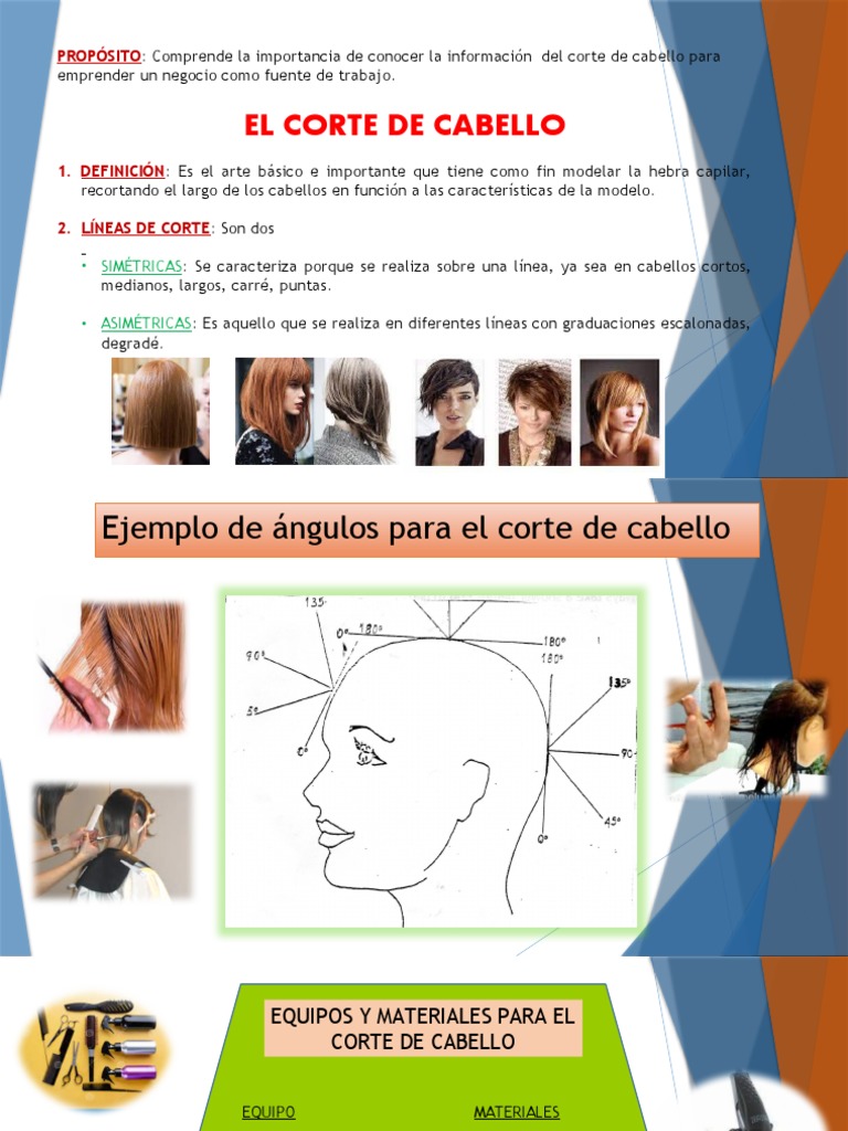 Importancia y Técnicas del Corte de Cabello | PDF | Pelo