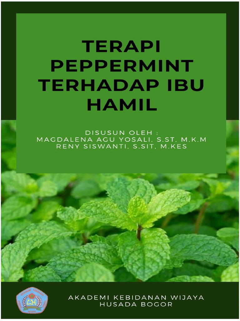 Buku Peppermint HJCFRT | PDF