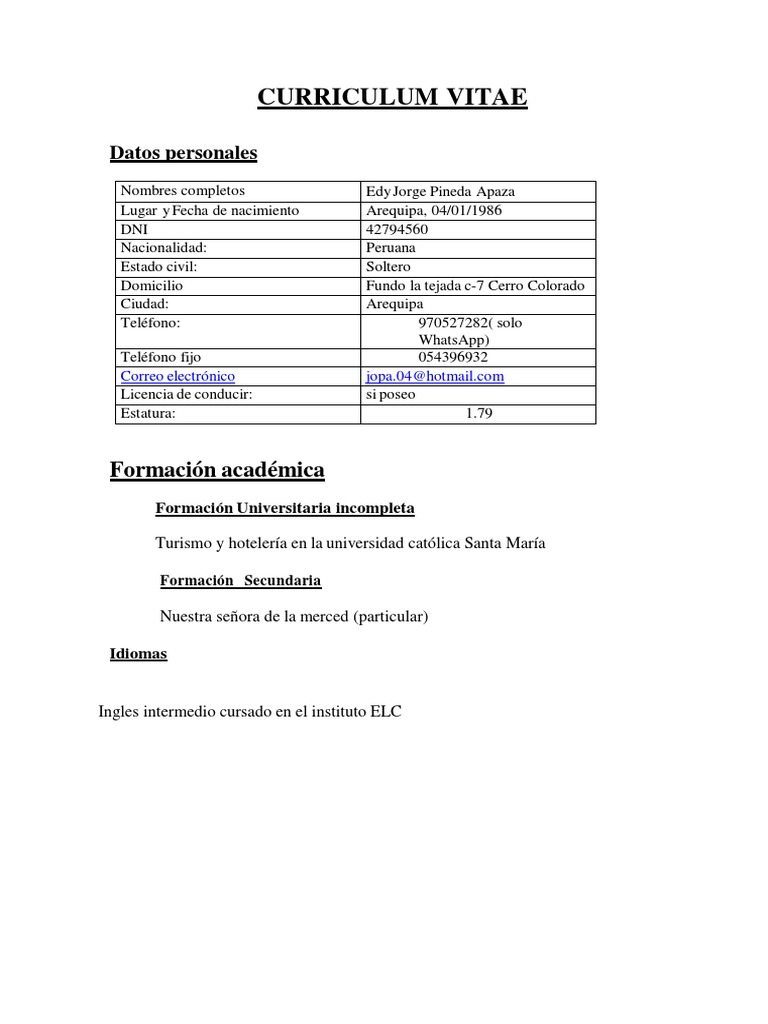 CV Edy Jorge Pineda Apaza | PDF