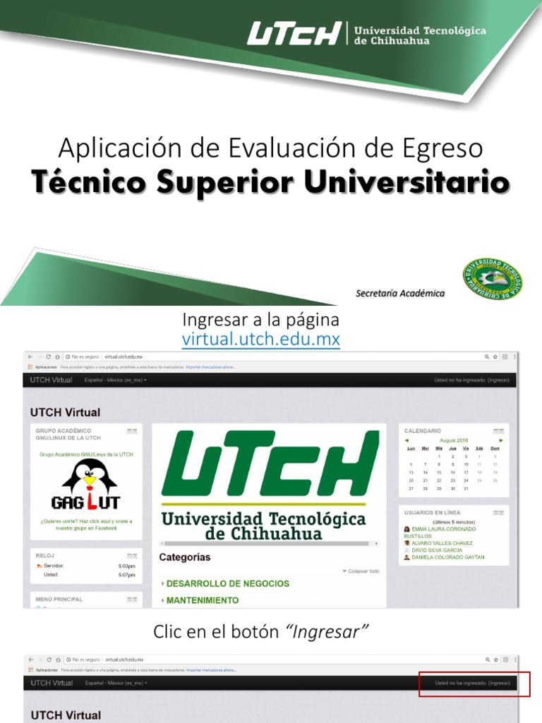 Guía de Evaluación de Egreso TSU | PDF | Negocios