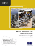 Roles and Responsibilities of Local DRRM Officers | PDF | Disaster Risk ...