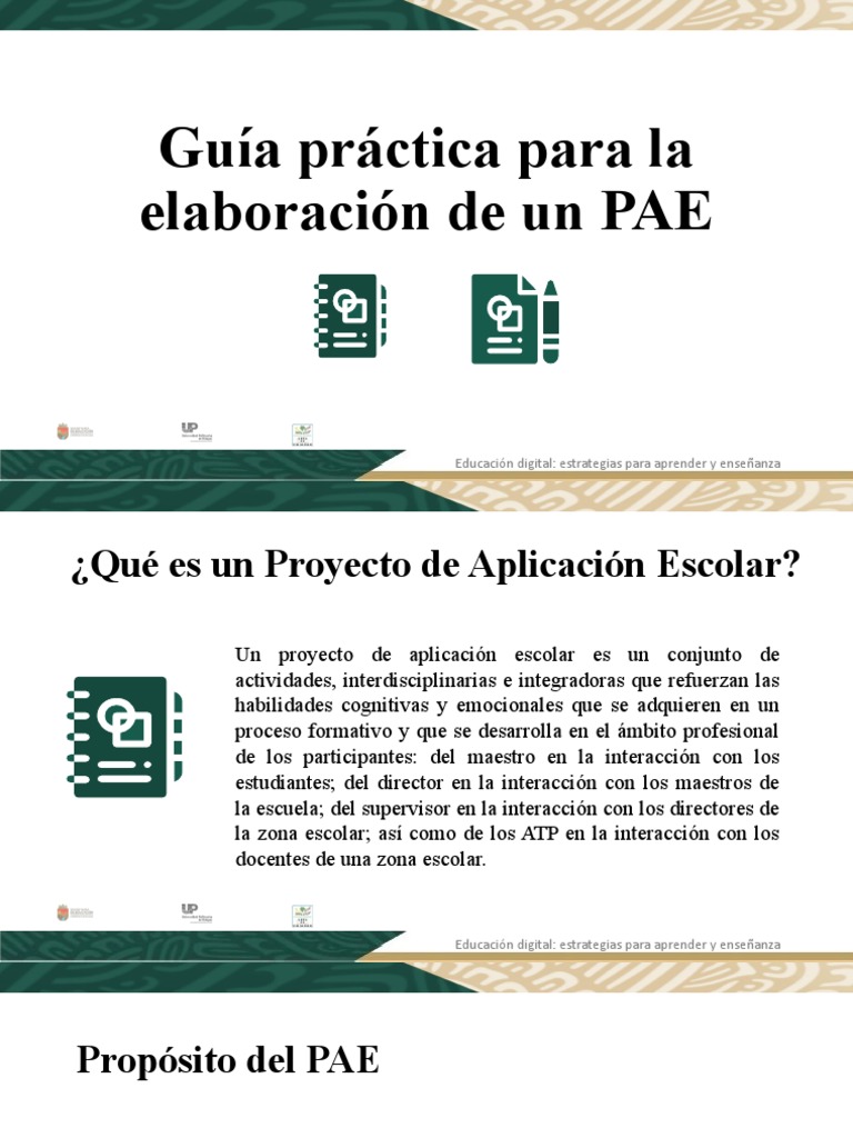 5.1. Guía Práctica para La Elaboración de Un PAE (DIAPOSITIVAS) | PDF