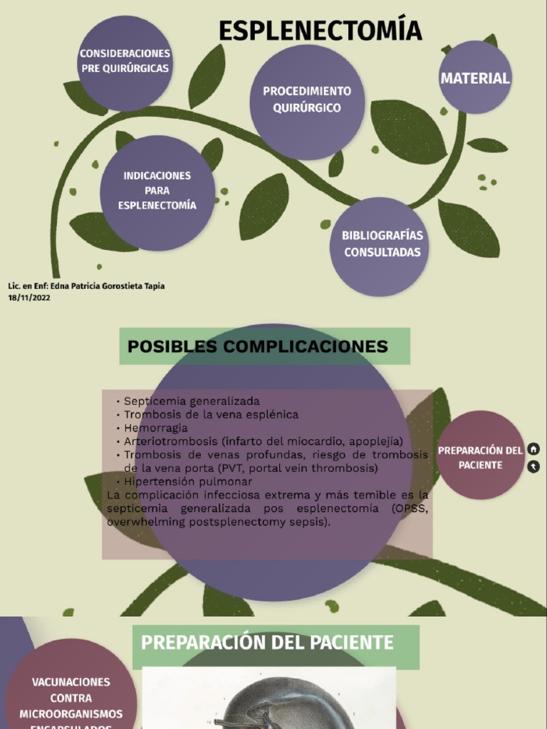 Esplenectomía Epgt CX Gral. | PDF