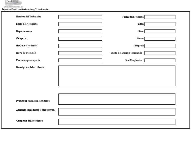 Formato - Reporte Flash | PDF