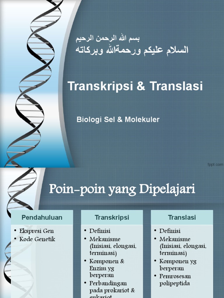 Proses Transkripsi & Translasi | PDF
