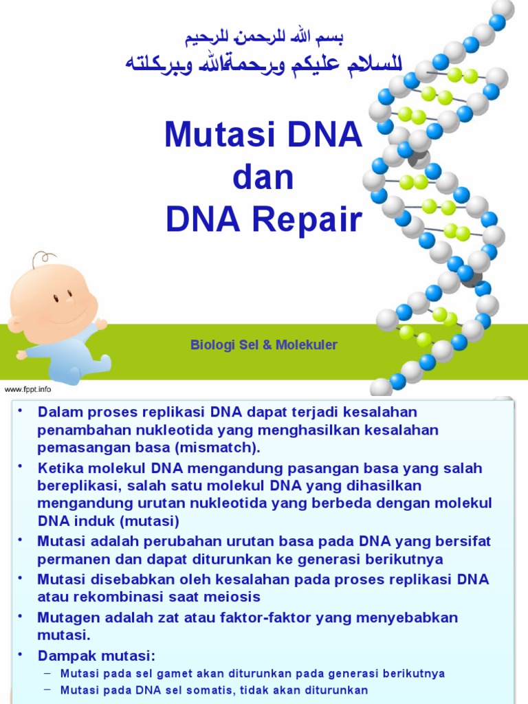 11 - Mutasi DNA DNA Repair 2021 | PDF