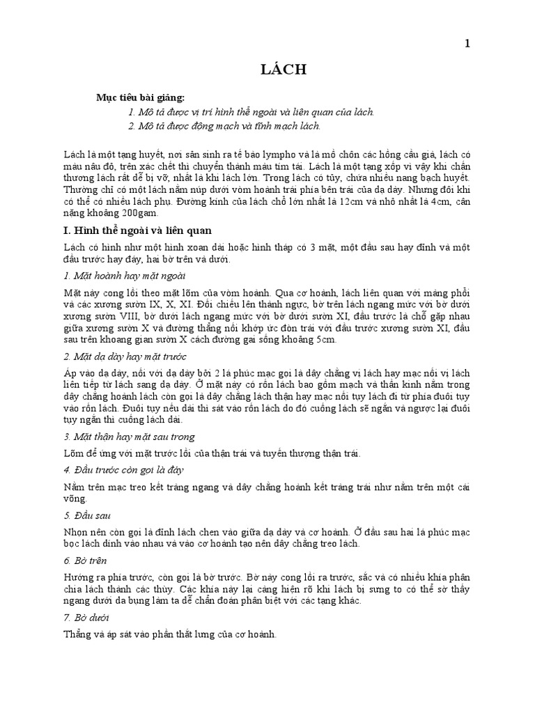 20 Lach | PDF