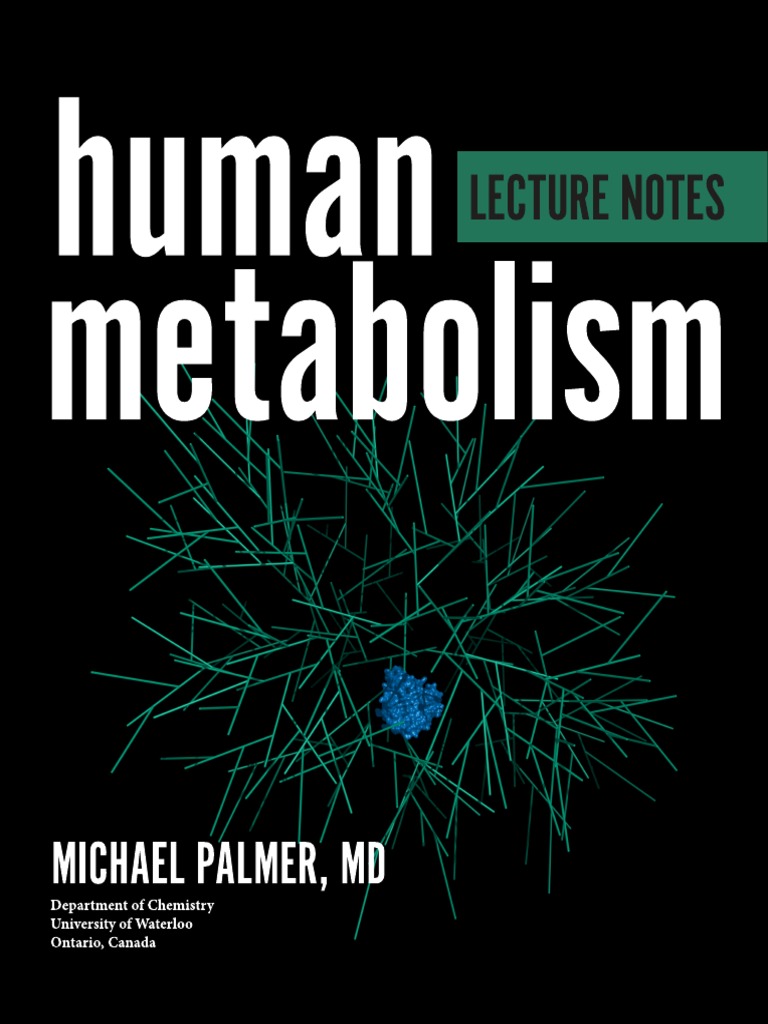 Book - Metabolism Notes | PDF | Human Digestive System | Pancreas