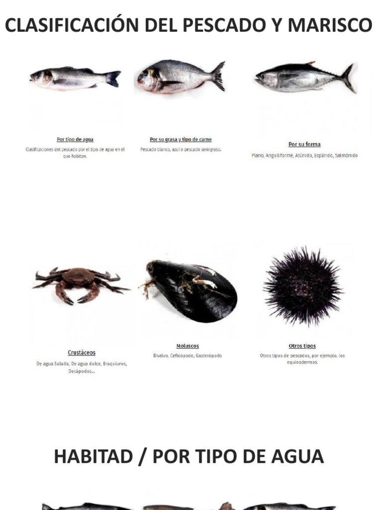 Pescados Marisco y Crustaceos | PDF | Bivalvia | Cangrejo