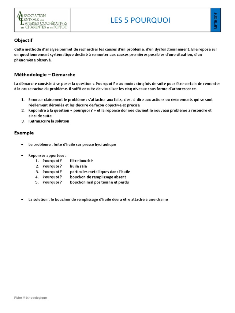 FIche Méthodo - 5 POURQUOI | PDF FIche Méthodo - 5 POURQUOI | PDF