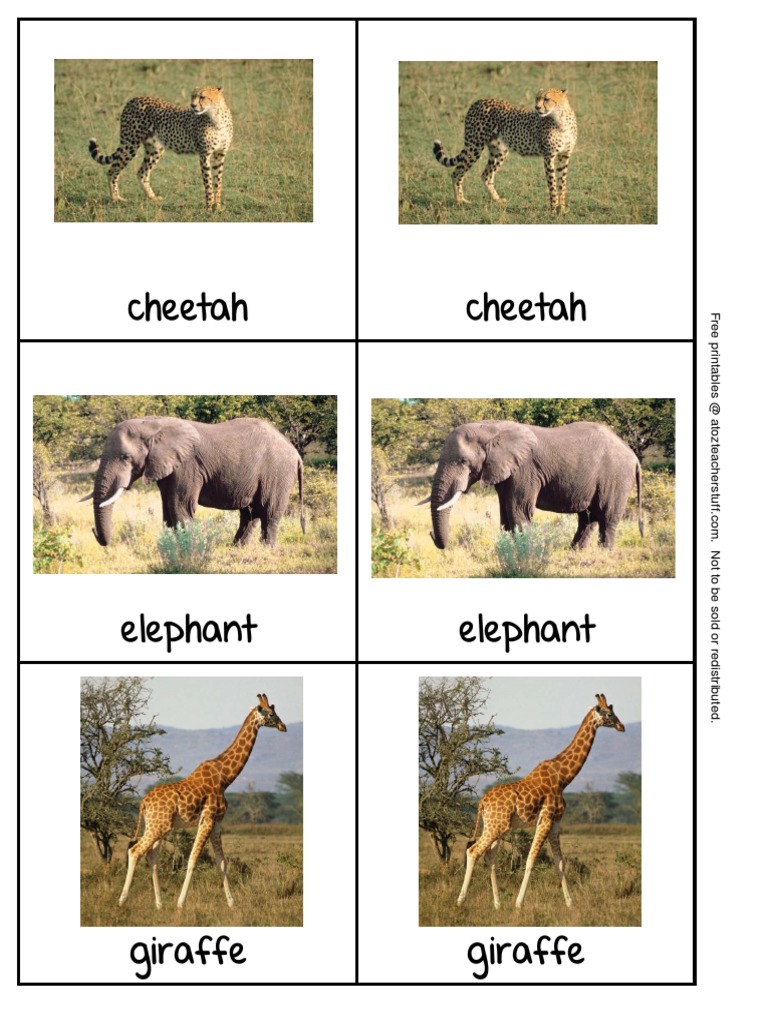 Safari Animal Cards | PDF