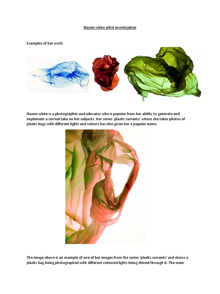 Naomi White Artist Investigation | PDF