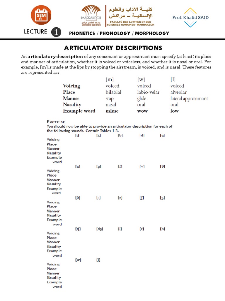 Articulatory Phonetics Exercises Pdf