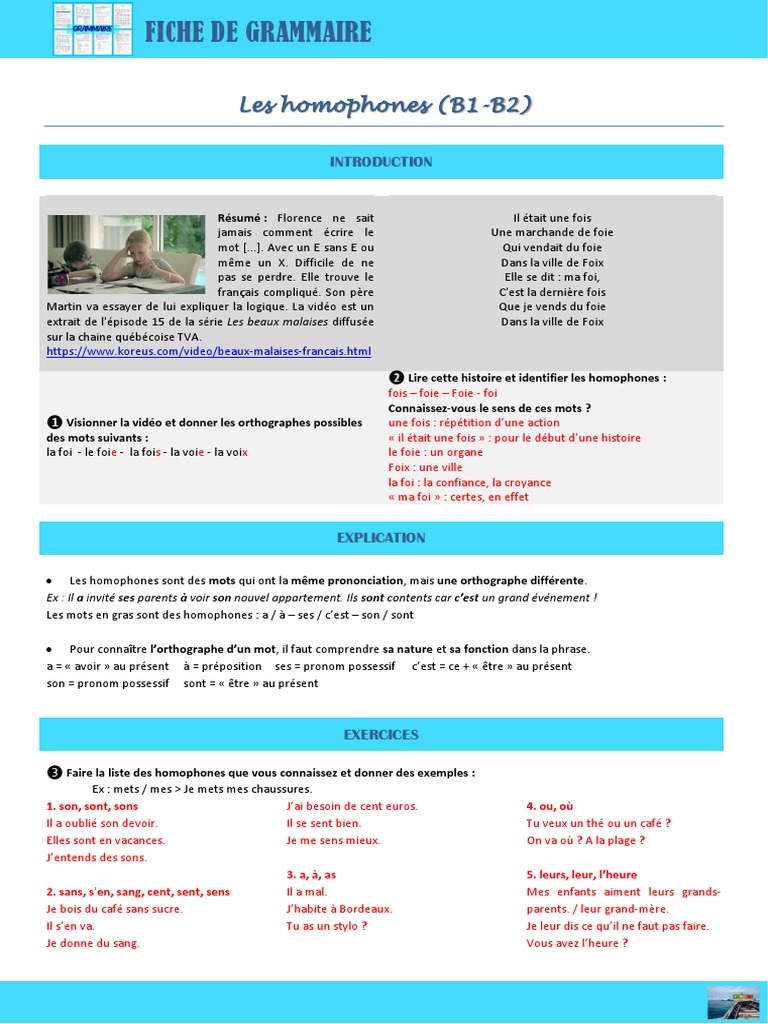 Homophones en français : Guide B1-B2 | PDF