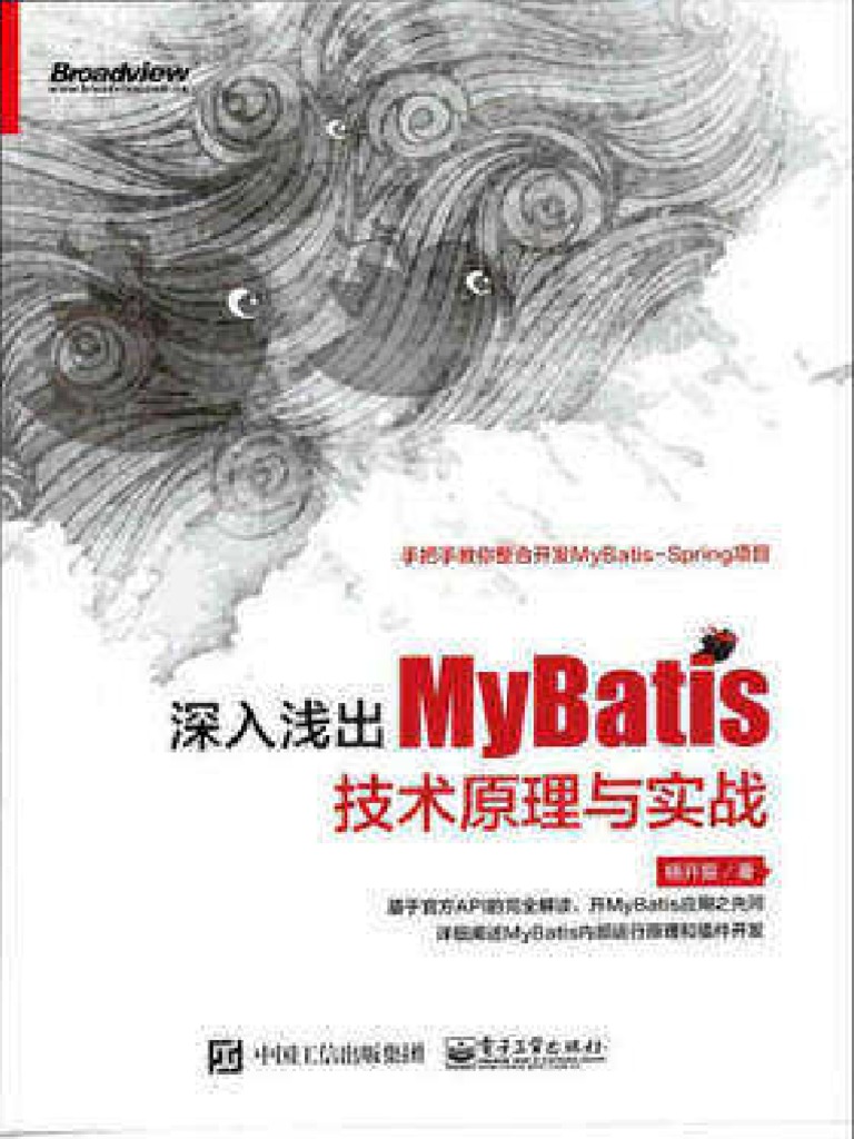 深入浅出MyBatis技术原理与实战 (杨开振) | PDF | Information Technology Management | Computer Data