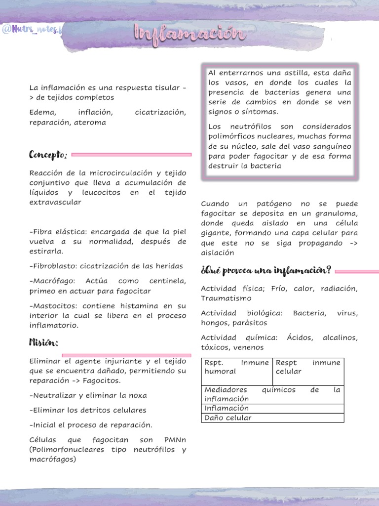 Inflamación. Resúmen | PDF | Inflamación | Sistema complementario