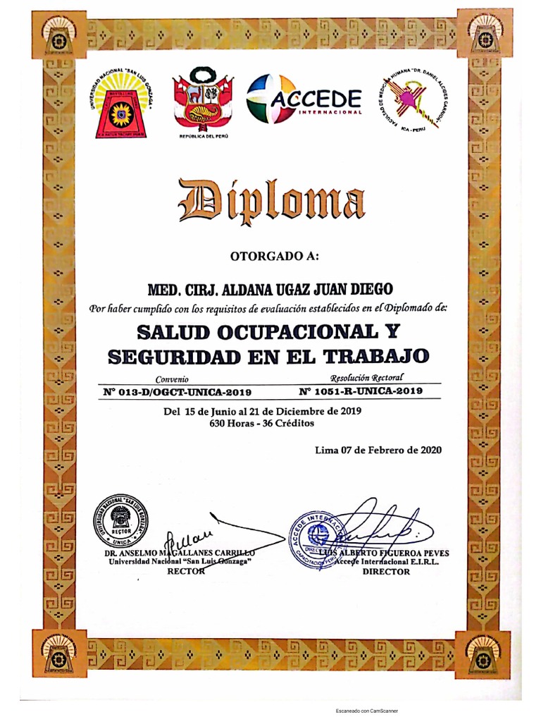 Diploma Salud Ocupacional | PDF