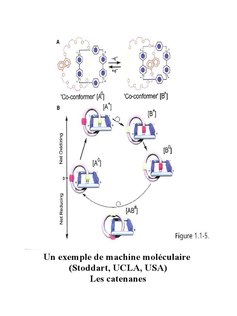 Chap4 - Autoassemblage Chimie Supramoléculaire | PDF