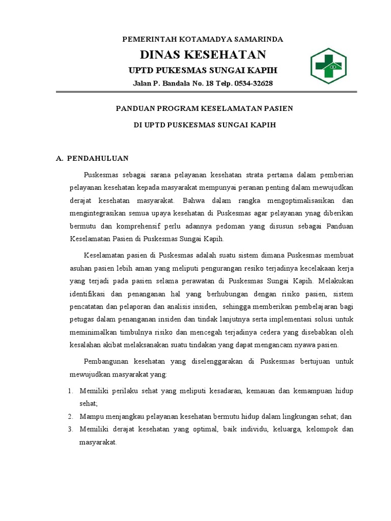 Panduan Program Keselamatan Pasien Di Puskesmas | PDF