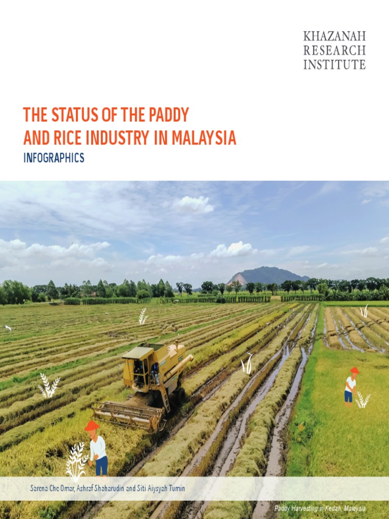 Paddy and Rice - Infographic | PDF | Rice | Food Security