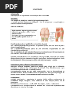 Linhas de Langer na Pele Humana | PDF