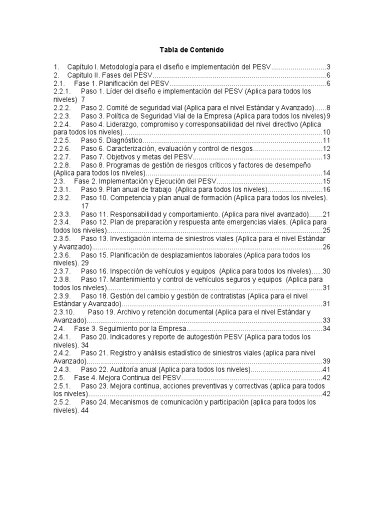 Guía de Diseño e Implementación Del PESV | PDF | Planificación | Valores