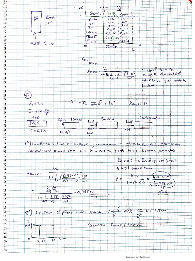 Ejercicios Intercambio Iónico | PDF