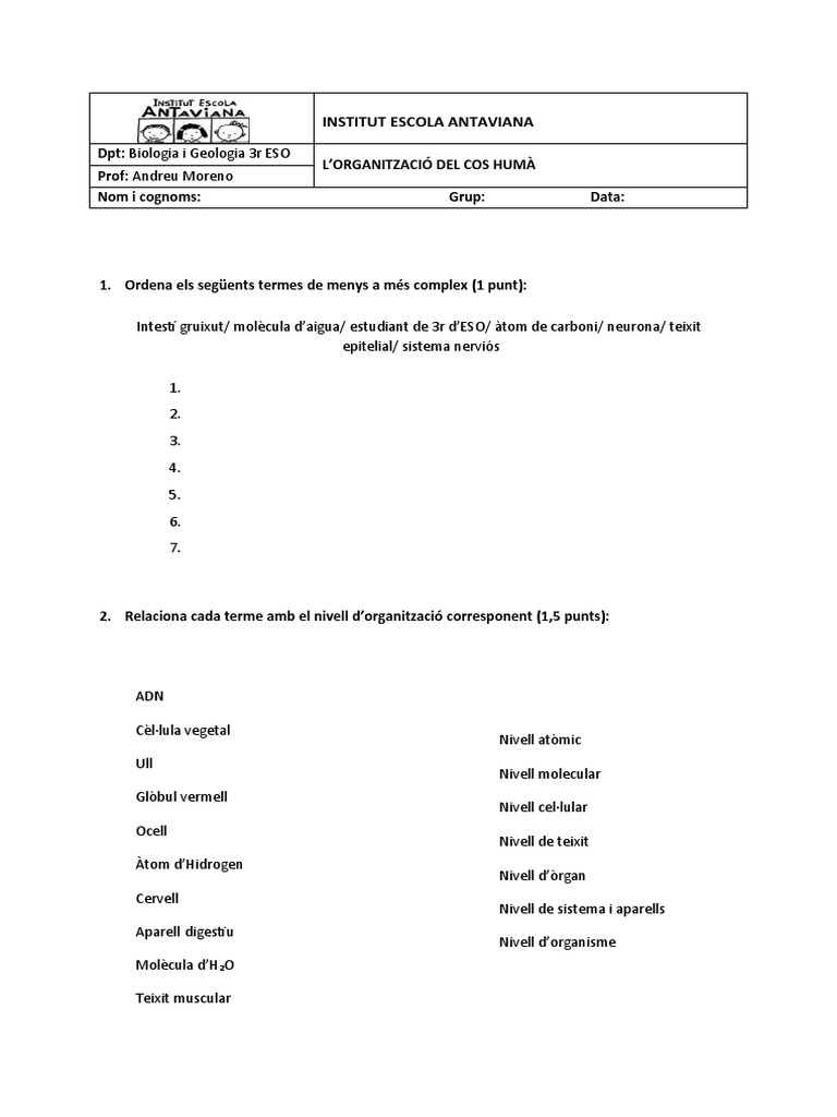 Examen Tema 1 B | PDF