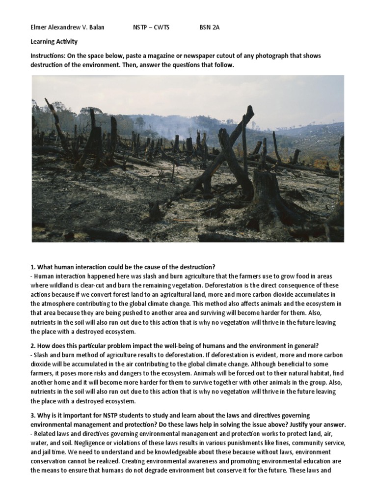 Environmental destruction causes and impacts | PDF | Deforestation | Natural Environment