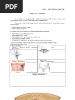 Ekstiparsi Insisi Eksisi | PDF