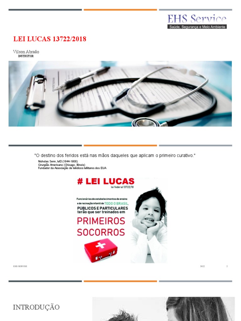 Lei Lucas 13722 | PDF | Queimadura | Epilepsia