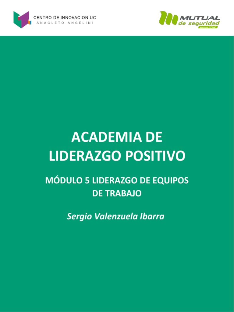 Modelo Imoi | PDF | Liderazgo | Cohesión grupal