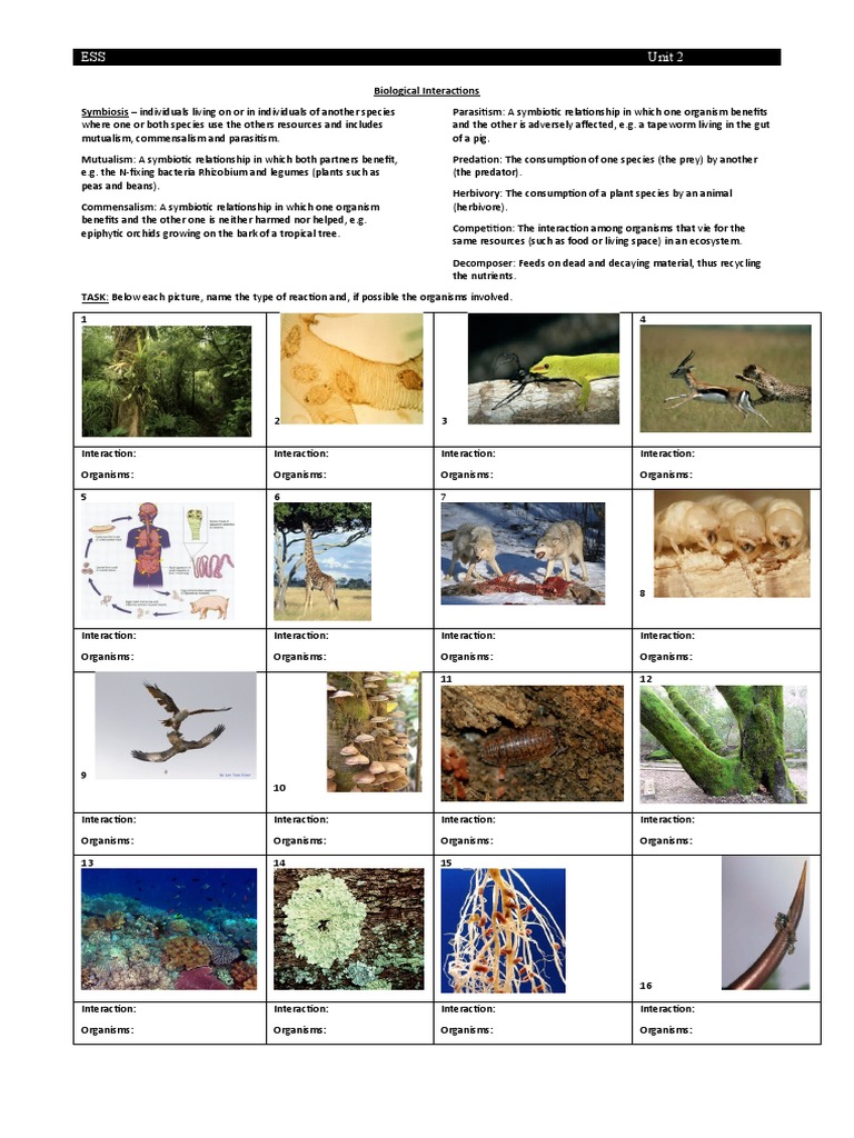 Biological Interactions Exercise | PDF | Symbiosis | Herbivore