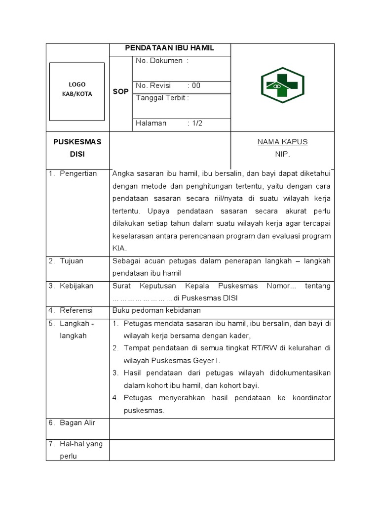 Pendataan Ibu Hamil | PDF