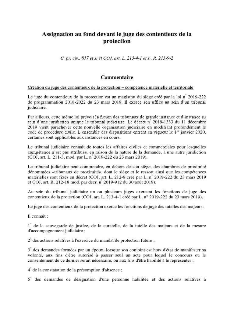 Assignation Au Fond Devant Le Juge Des Contentieux de La Protection ...