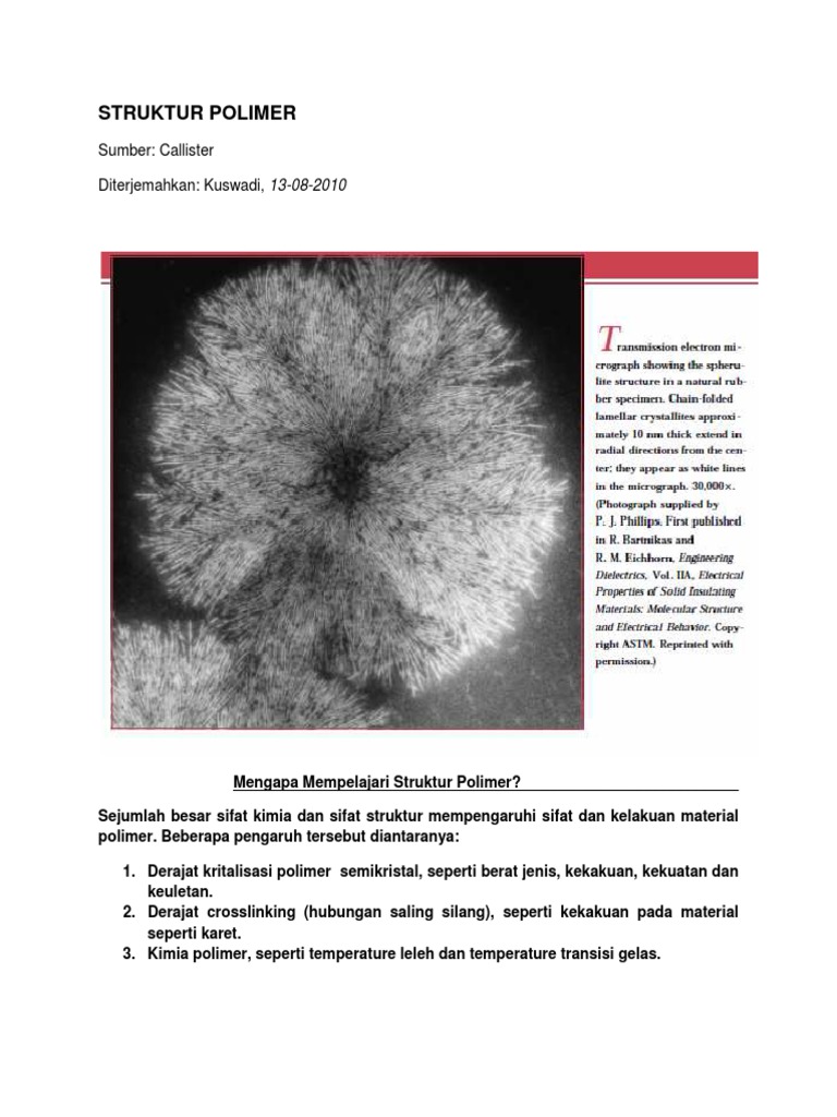 (Bagian 1) Struktur Polimer | PDF