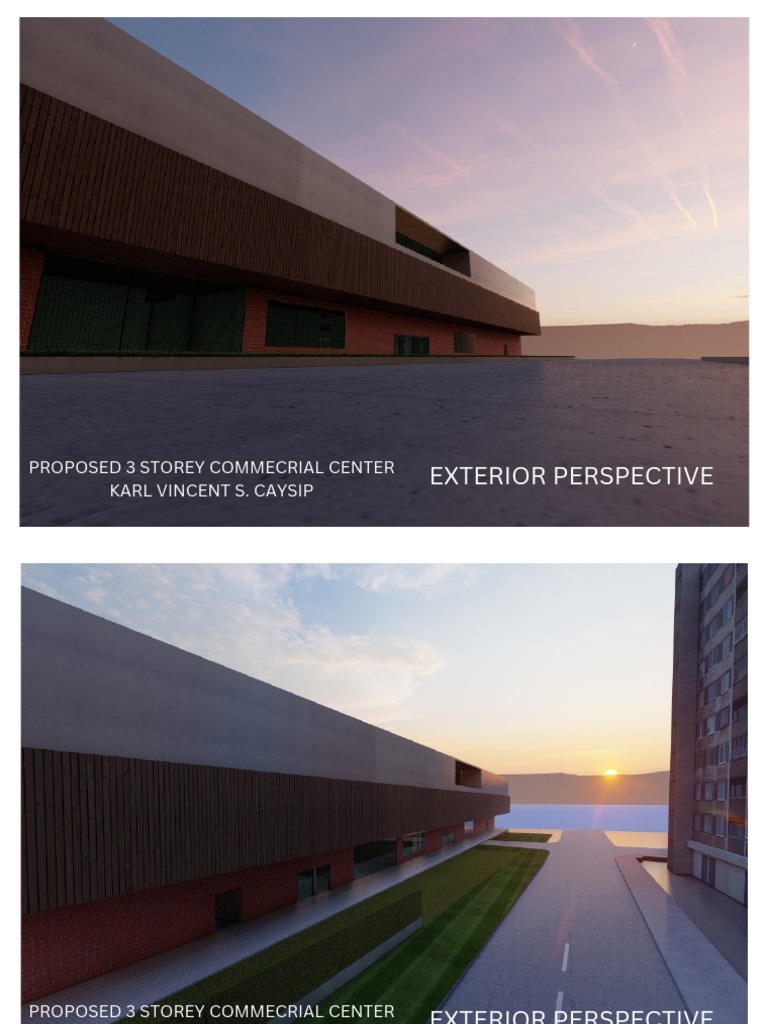 Karl BT Perspective | PDF