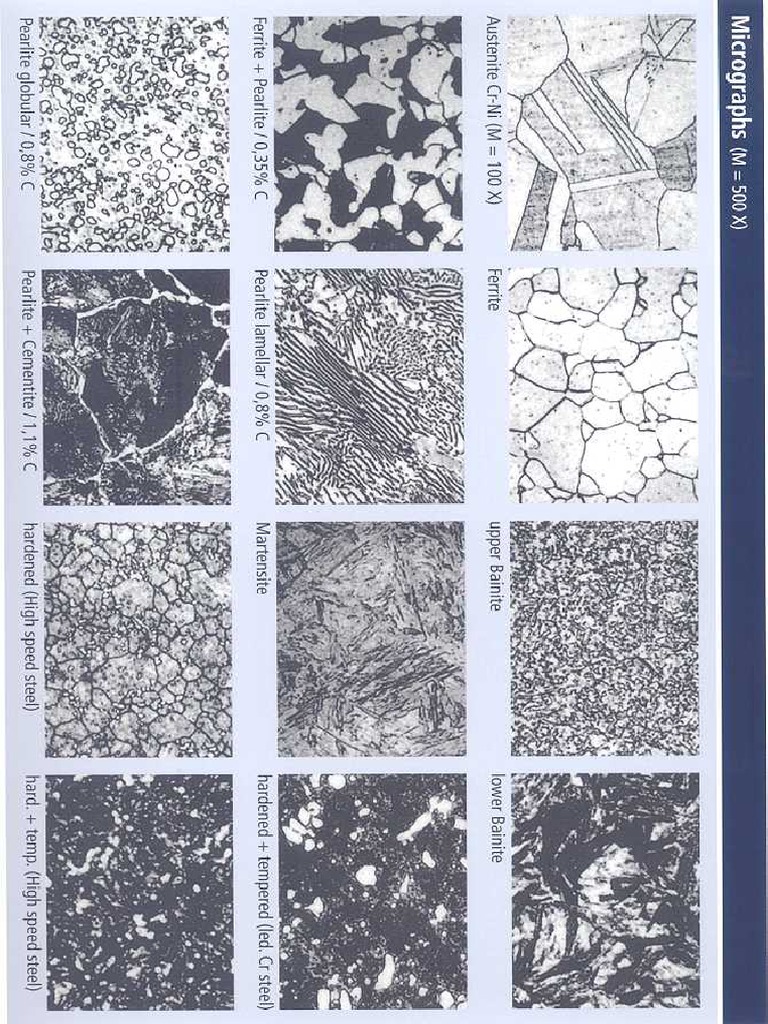 Microestructuras (Ejemplos) | PDF