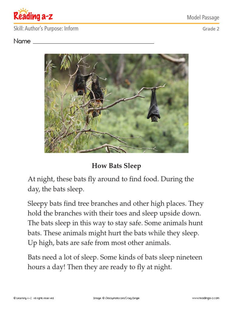 CP gr2 Ap Inform Model Passage | PDF