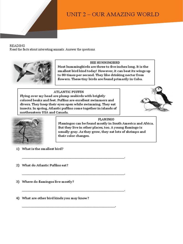 Amazing English 2 UNIT 2 OUR AMAZING WORLD | PDF | Pollution | Dinosaurs