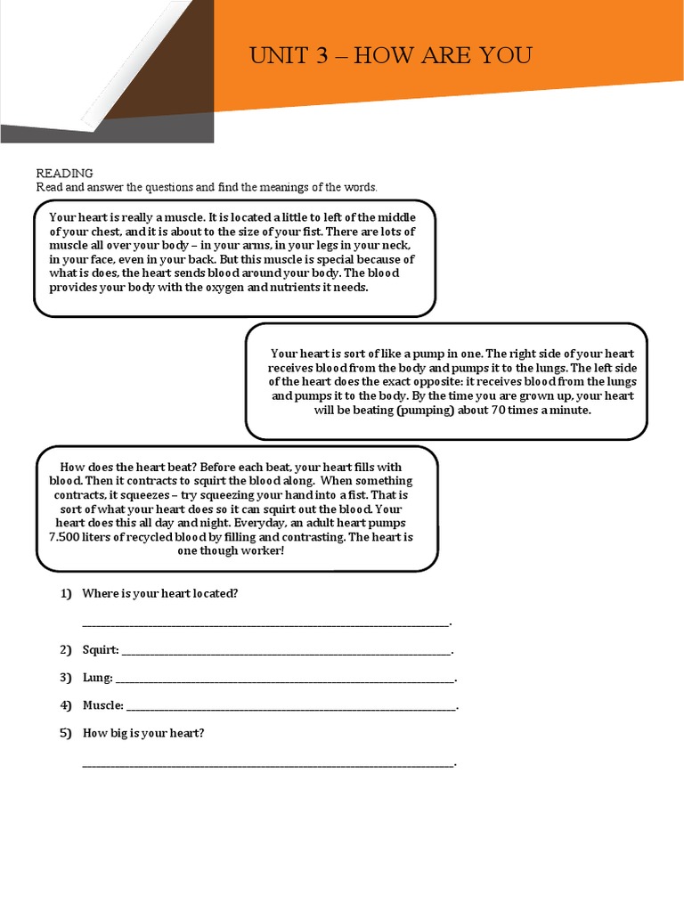 Amazing English 2 UNIT 3 WHO ARE YOU | PDF | Heart | Blood