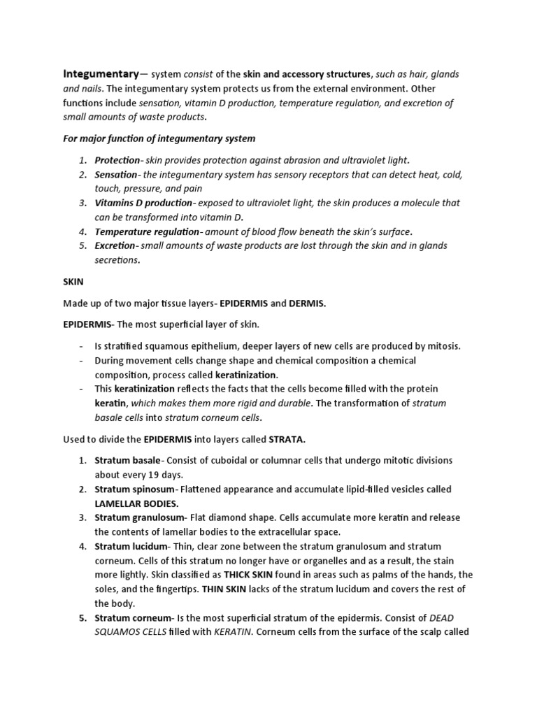 Functions of the Integumentary System | PDF | Skin | Integumentary System