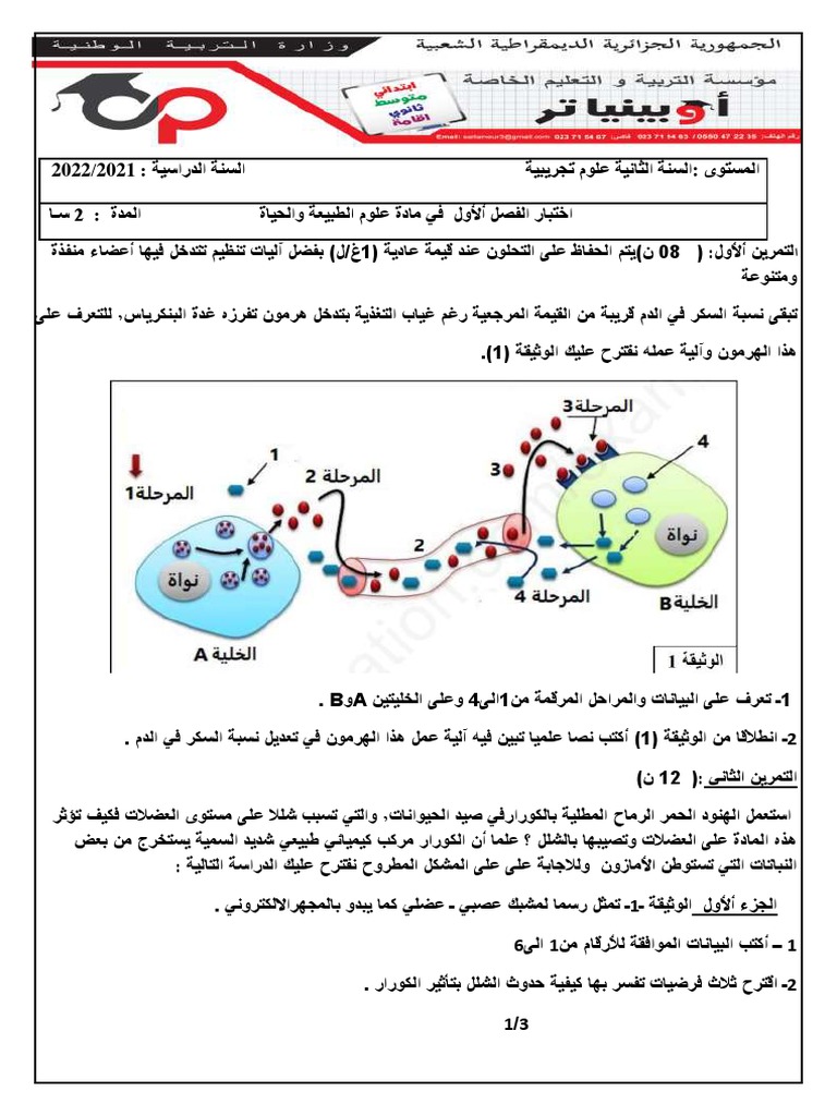 Dzexams 2as Sciences 1119334 | PDF