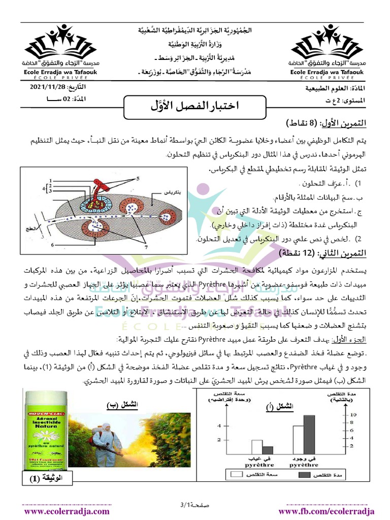 Dzexams 2as Sciences 802316 | PDF