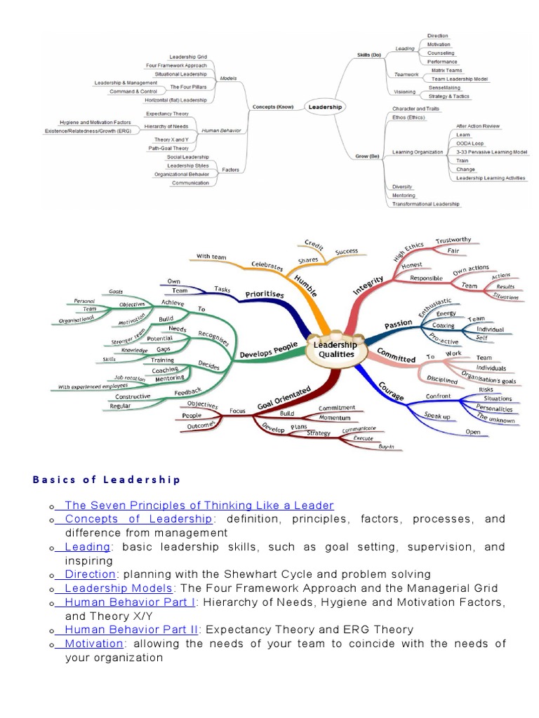 Basics of Leadership | PDF | Leadership | Goal