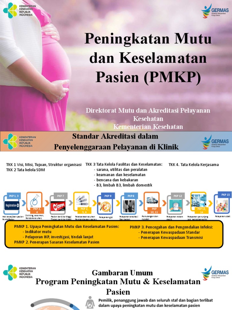 Standar Akreditasi Klinik - Bab 2 PMKP 1 - 2 Dan 3 | PDF