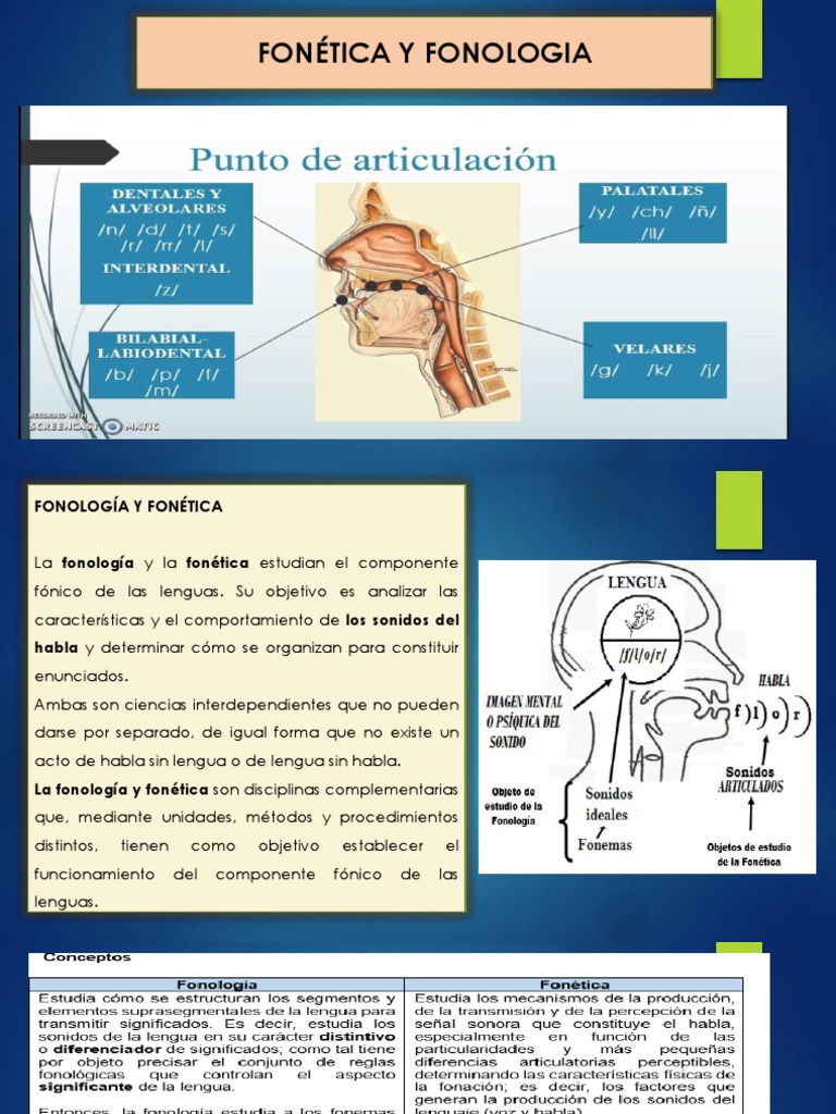 Fonología Y Fonética Pdf Fonología Vocal